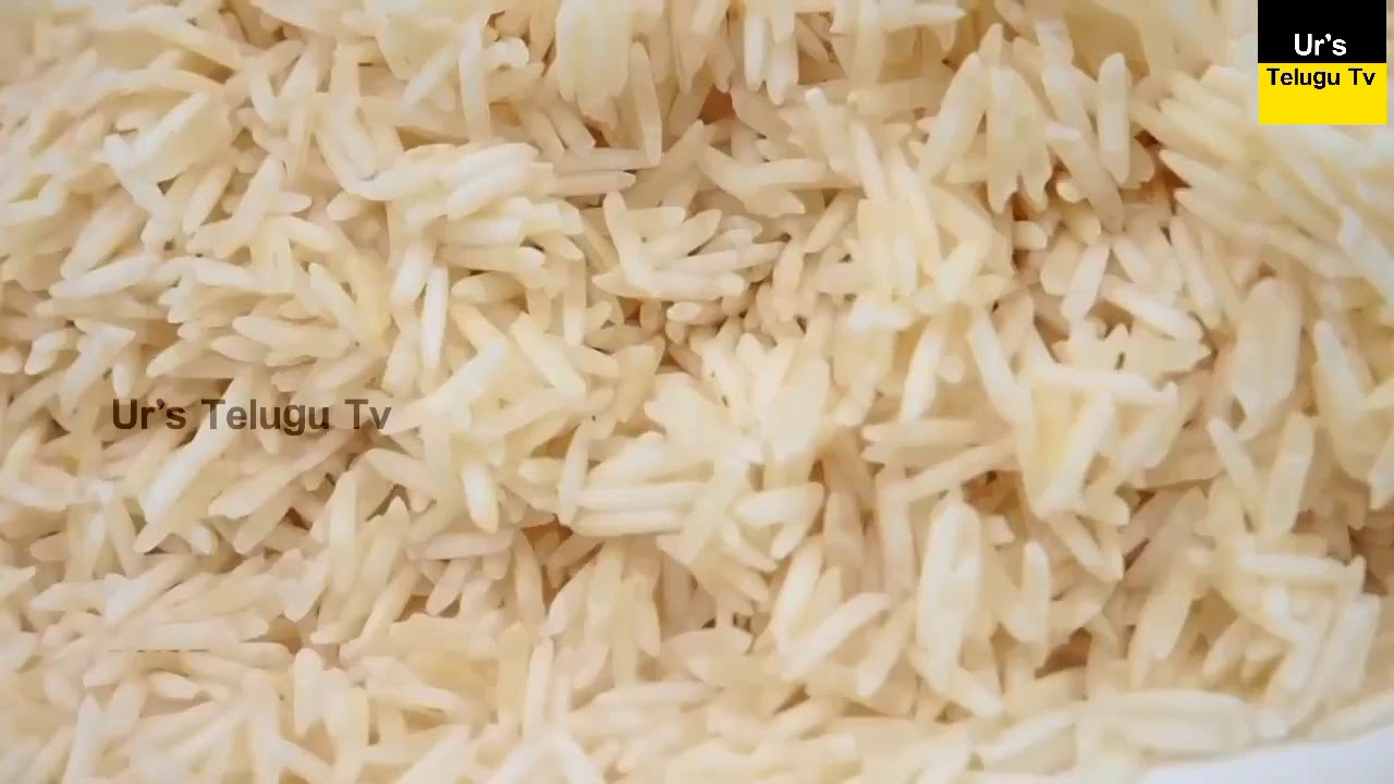 Bamboo Chicken Dum Biryani || Sankranti special recipe || Bongulo ...