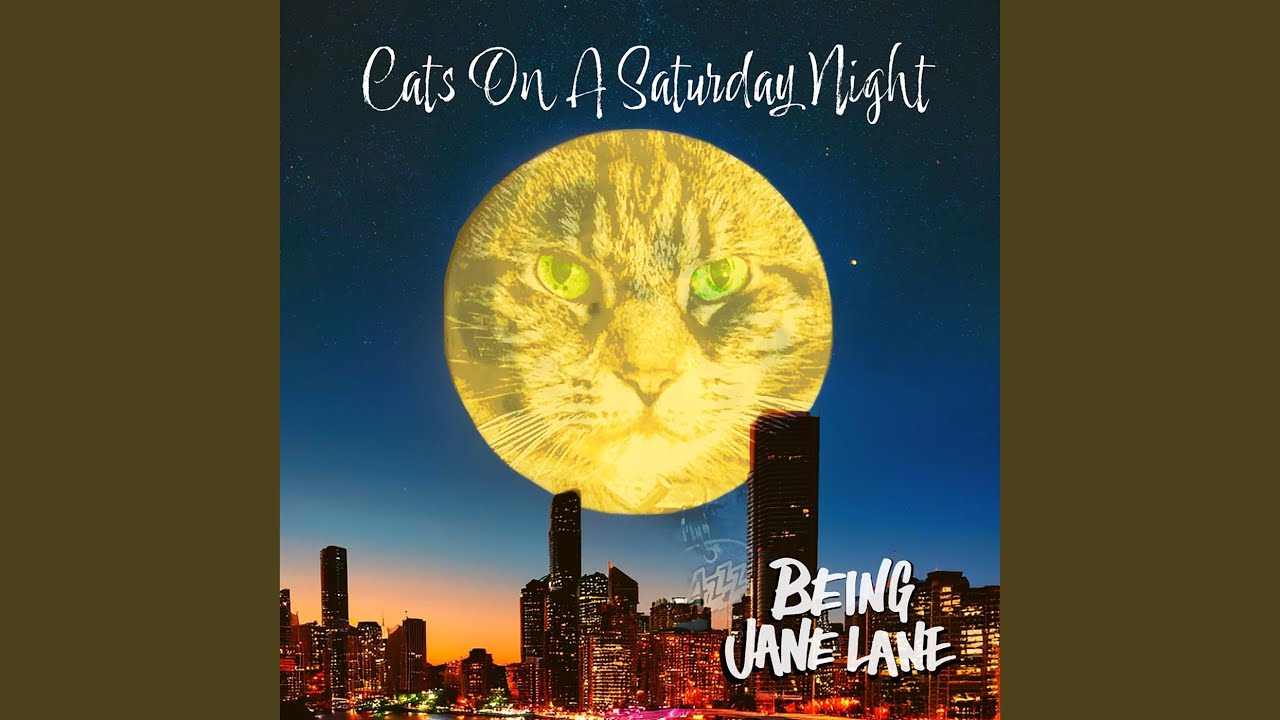 Cats on a Saturday Night - YouTube