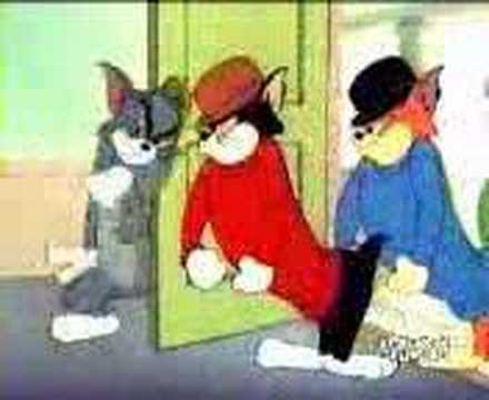 TOM(kurdi)