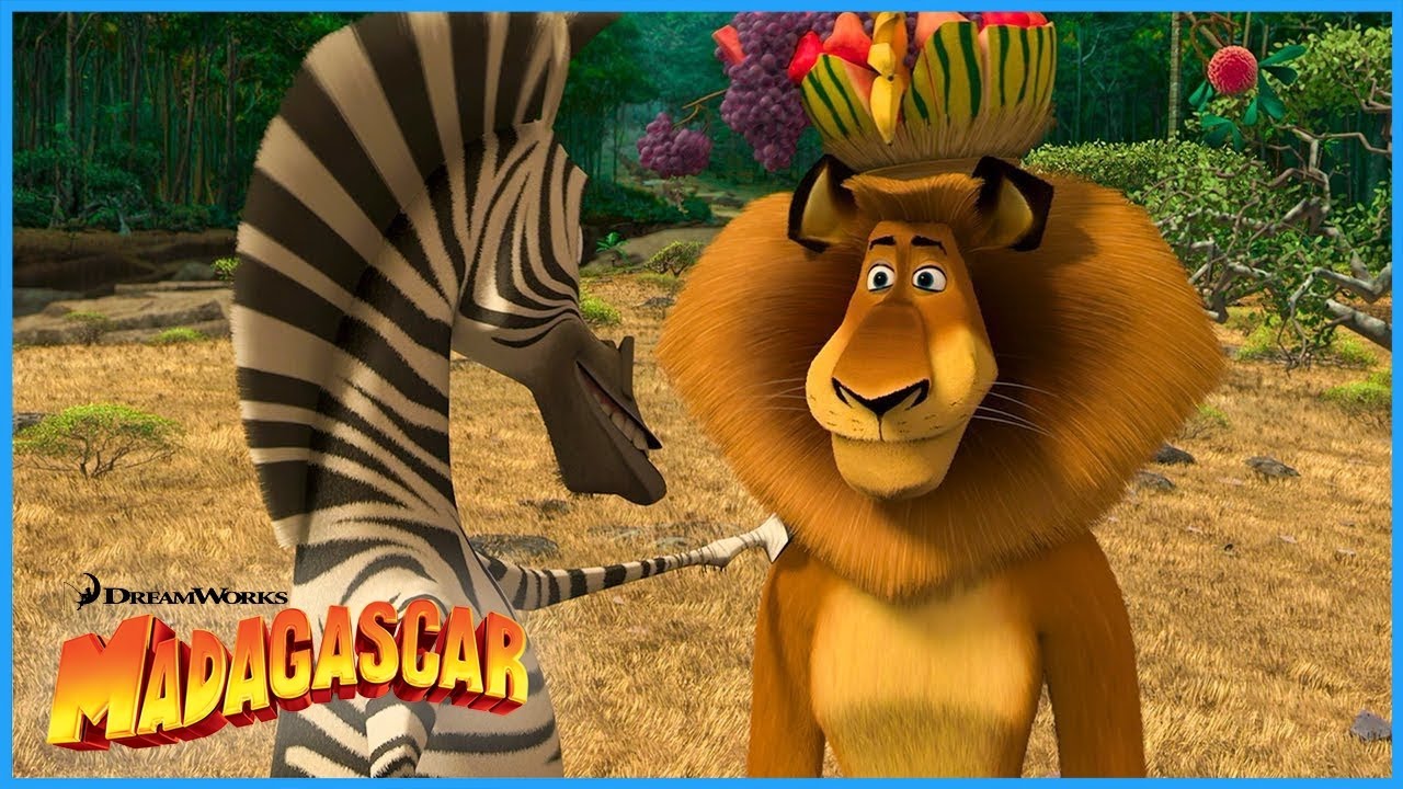 Marty and Alex forgive each other 🦓 🦁 | Madagascar Escape 2 Africa ...