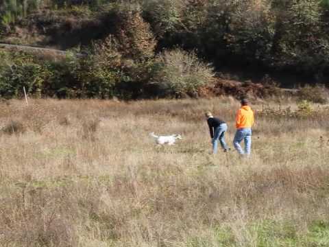 Jaxon Field Hunt - YouTube