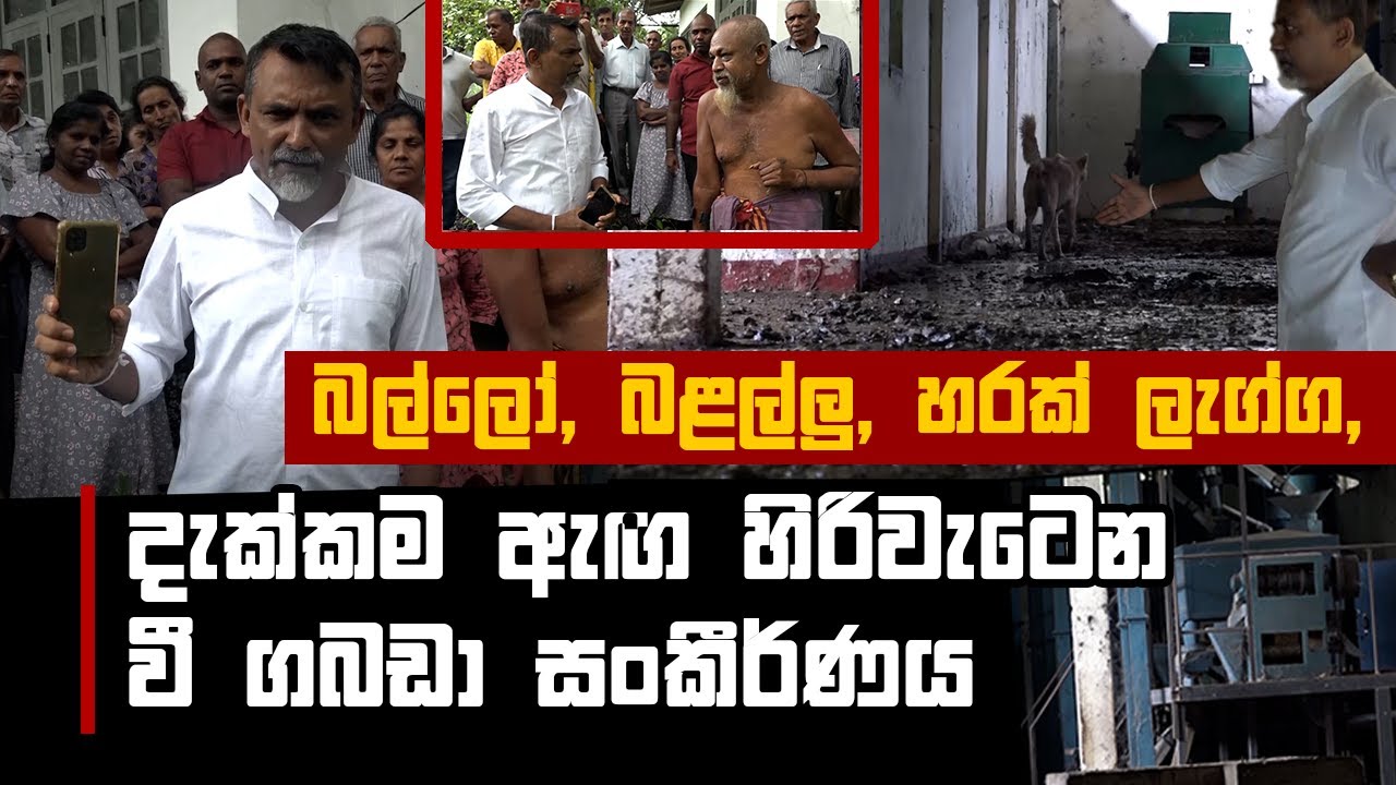 බල්ලෝ , බළල්ලු , හරක් ලැග්ග, දැක්කම ඇඟ හිරිවැටෙන වී ගබඩා සංකීර්ණය ...