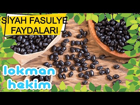 SİYAH FASULYE   FAYDALARI