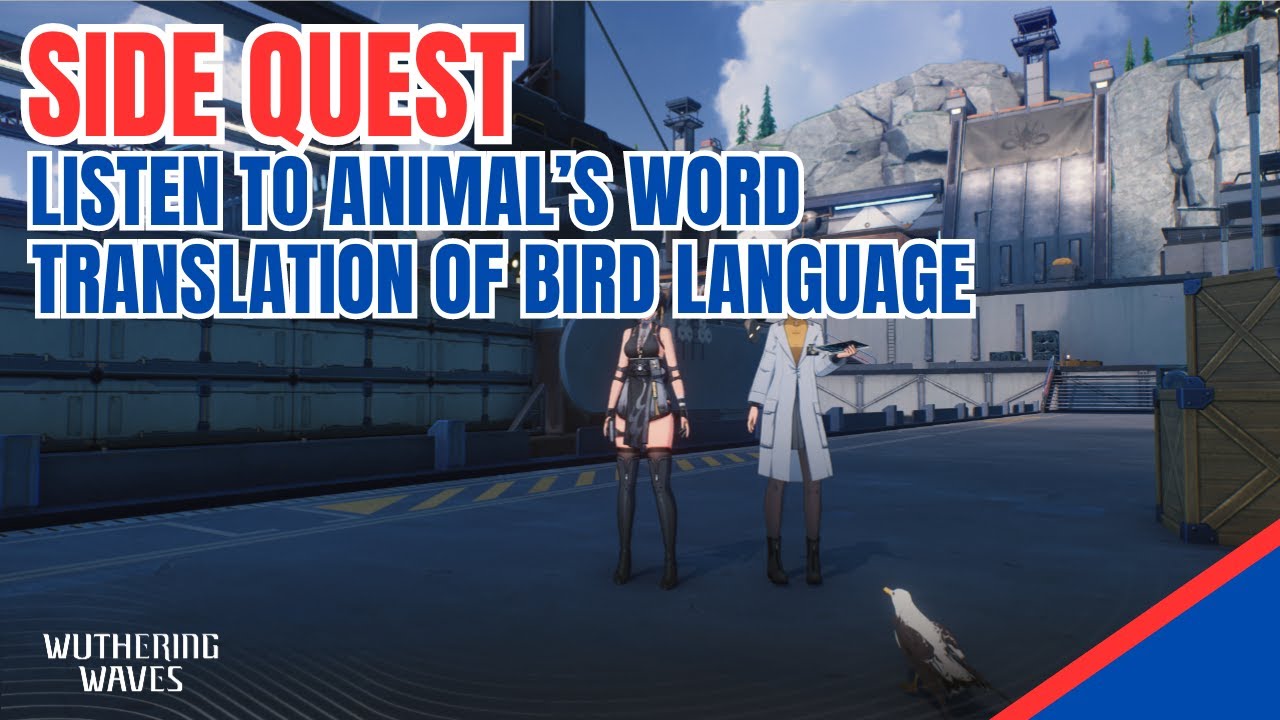 Listen To Animal's Word Translation of Bird Language [Side Quest ...