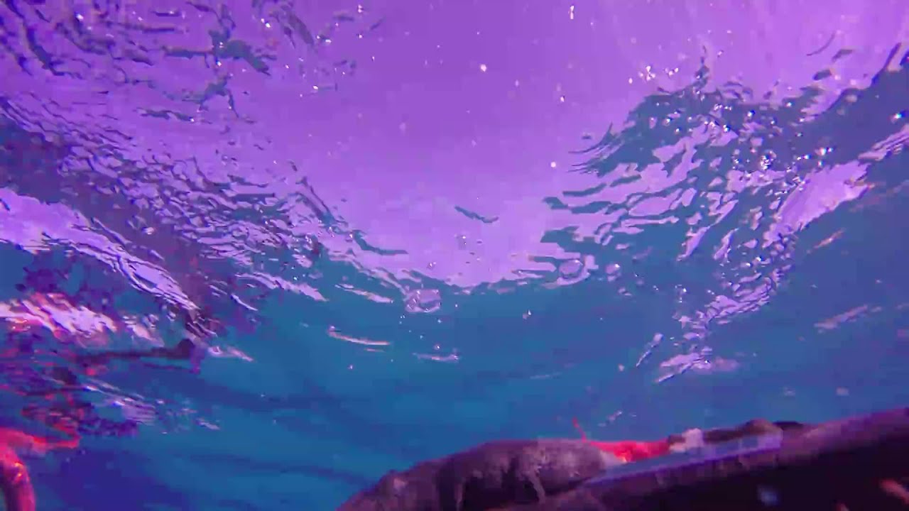 OAHU, HAWAII - Spearfishing Electric Beach Pipes - Dec 2015 - YouTube