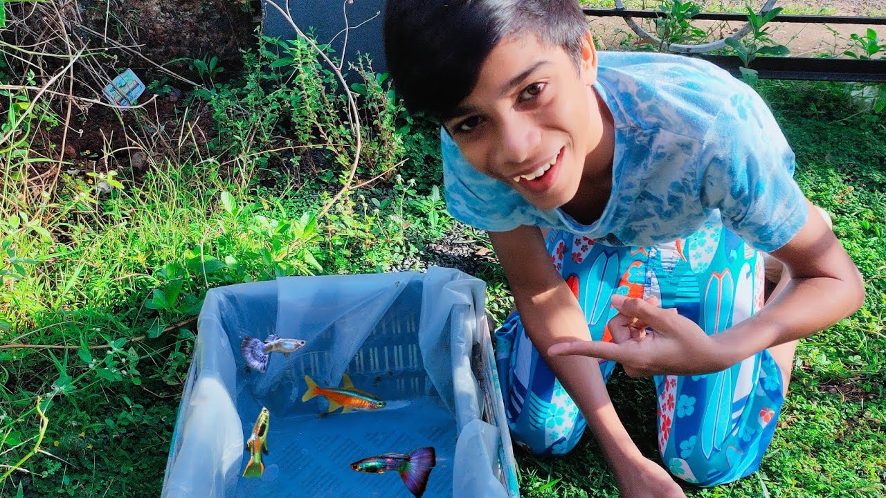 how to make fish aquarium at home|fish aquarium making with cardboard ...