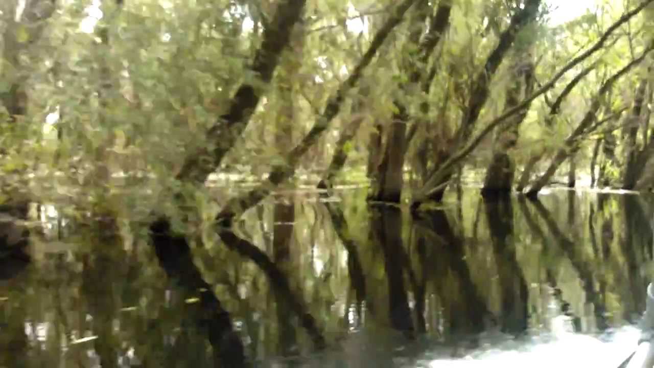 BalkanTrip 2013 - Rumunsko - Delta Dunaje 04 - YouTube