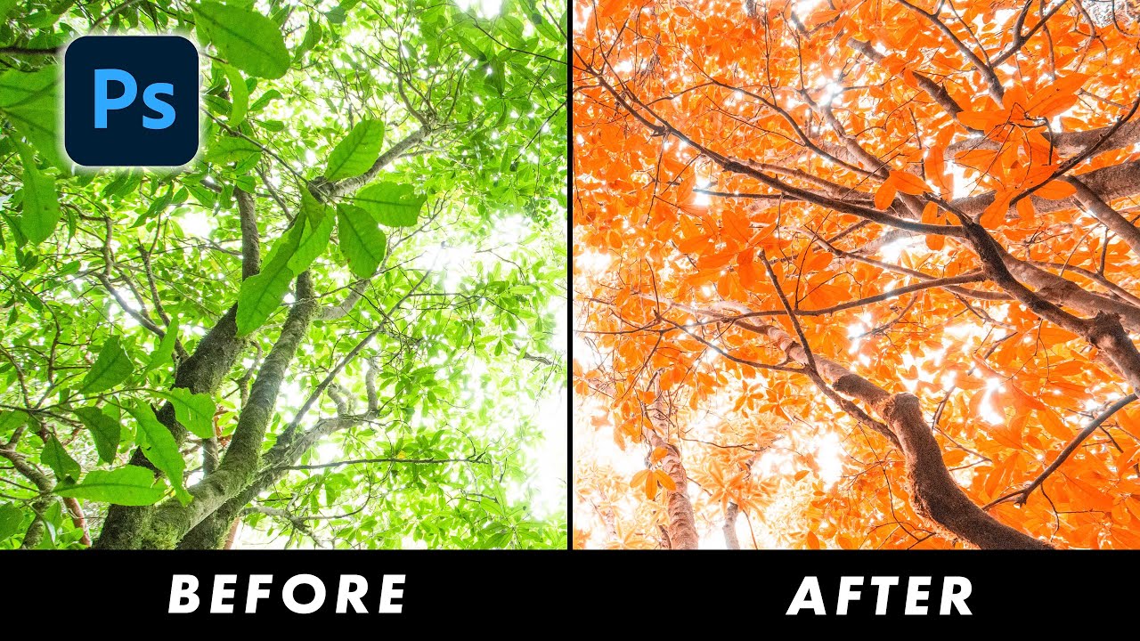 Photoshop Tutorial - Orange Tone Color Effect in Photoshop - YouTube