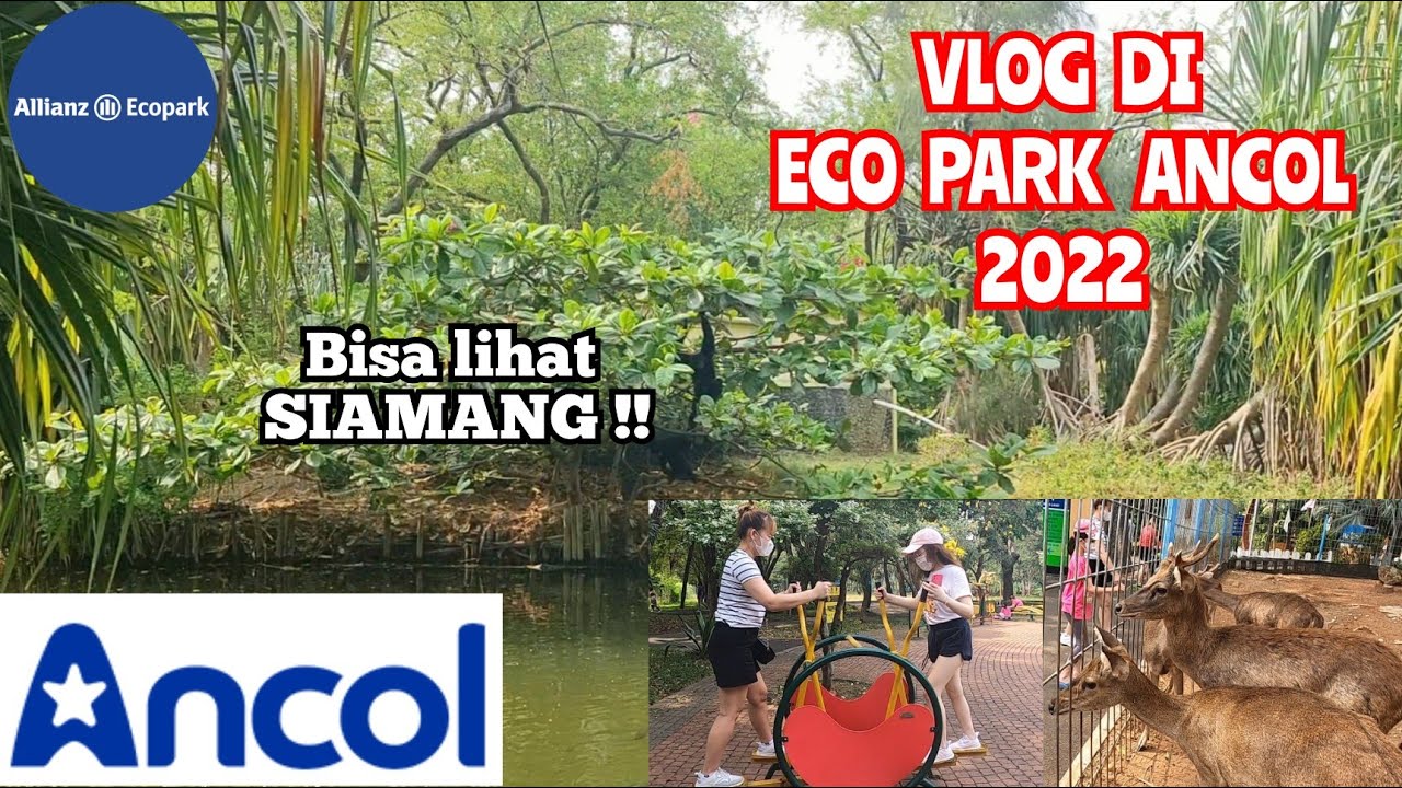 VLOG DI ECOPARK ANCOL ||ALLIANZ ECOPARK||JAKARTA 2022 - YouTube