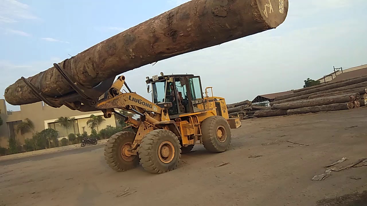 wood work in Kandla Port Gujarat SRG ply&boards timber market ...