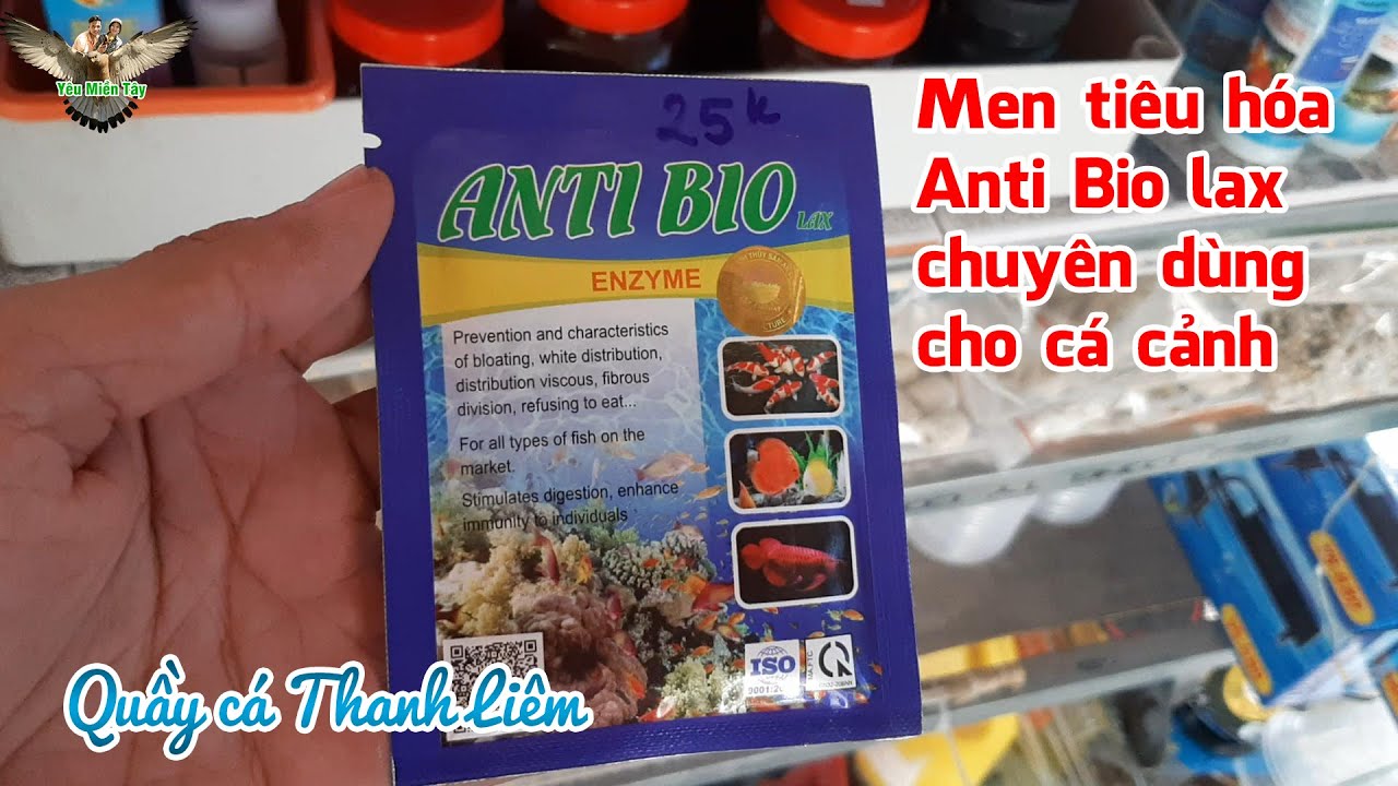Men tiêu hóa Anti Bio lax chuyên dùng cho cá cảnh - YouTube