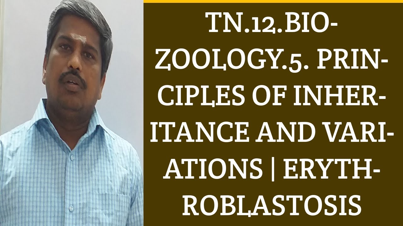 TN.12.BIOZOOLOGY. 4.PRINCIPLES OF INHERITANCE AND VARIATIONS ...
