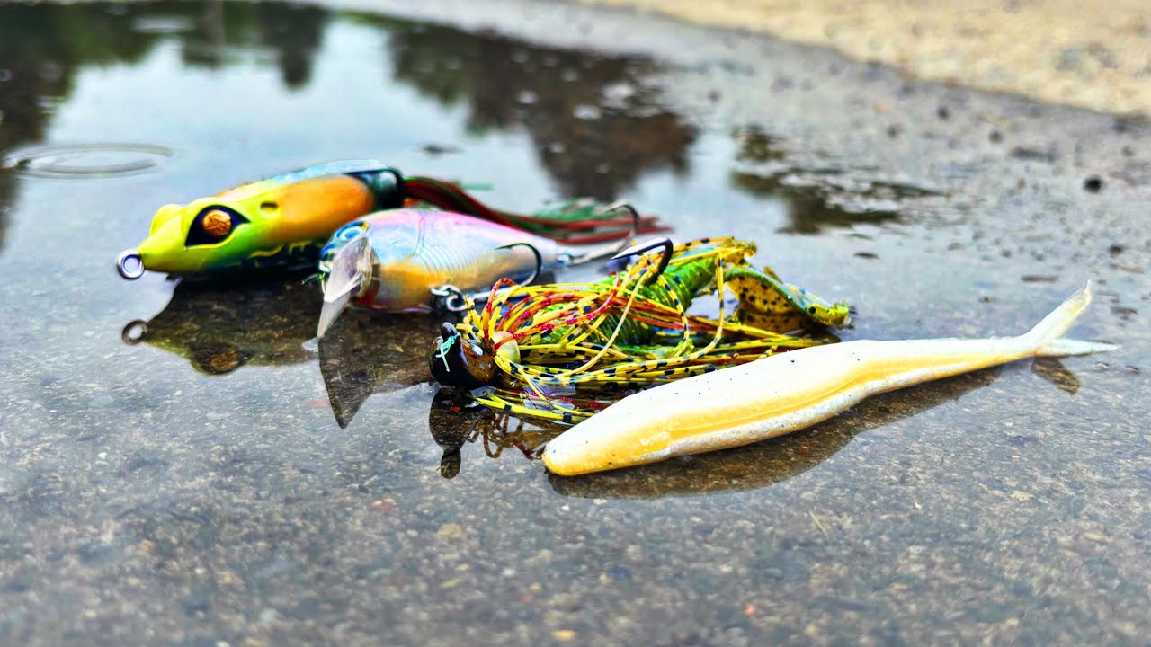 Top 5 AUGUST Bass Baits - YouTube