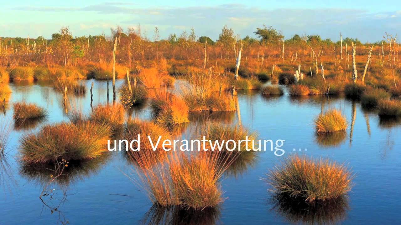 Imagefilm - Lebensraum Moor - YouTube