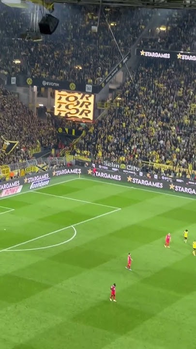 BVB 3:1 gegen Heidenheim Süd feiert ! - YouTube