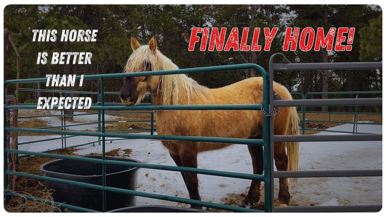 Finally Home! - YouTube