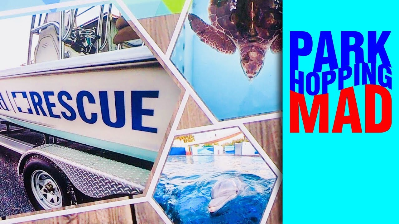 SEAWORLD INSIDE LOOK 2019 | SEAWORLD RESCUE CENTER | SeaWorld Orlando ...