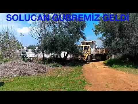 SOLUCAN MAMASI DA GELDİ, ORGANİK SOLUCAN GÜBRESİ ÜRETMEYE  DEVAM