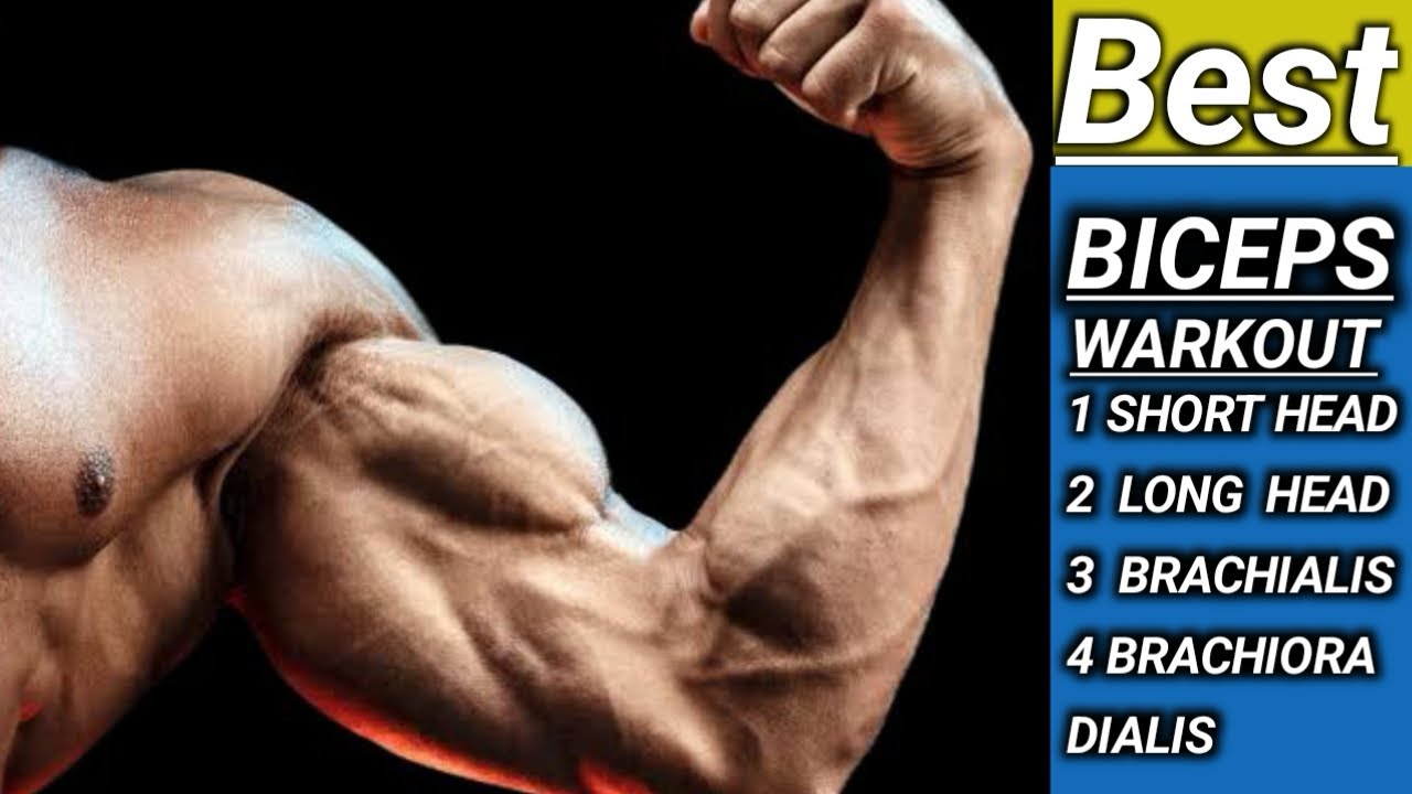 Top Best 5 exercise Biceps workout /💪 Stronger biceps : Besr Arm ...