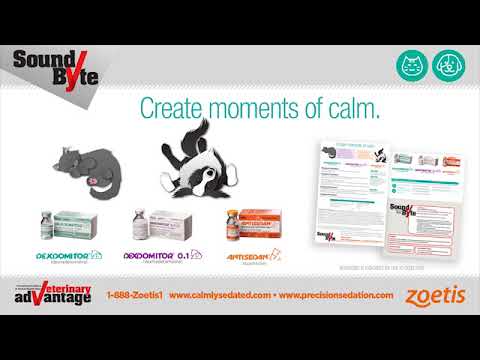 Zoetis Dexdomitor SoundByte - YouTube