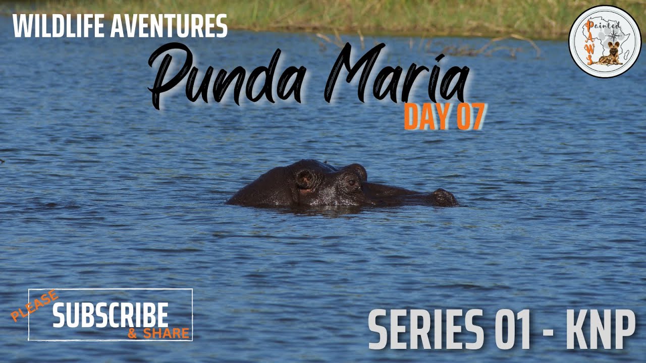 Wildlife, Punda Maria Camp, KNP (Day7) - Northern Kruger Park will make ...