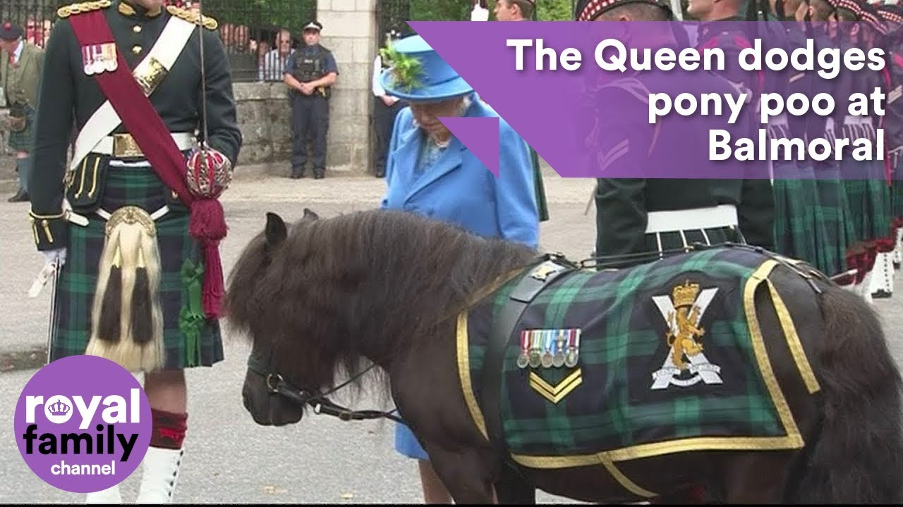 Queen dodges pony poo at Balmoral - YouTube