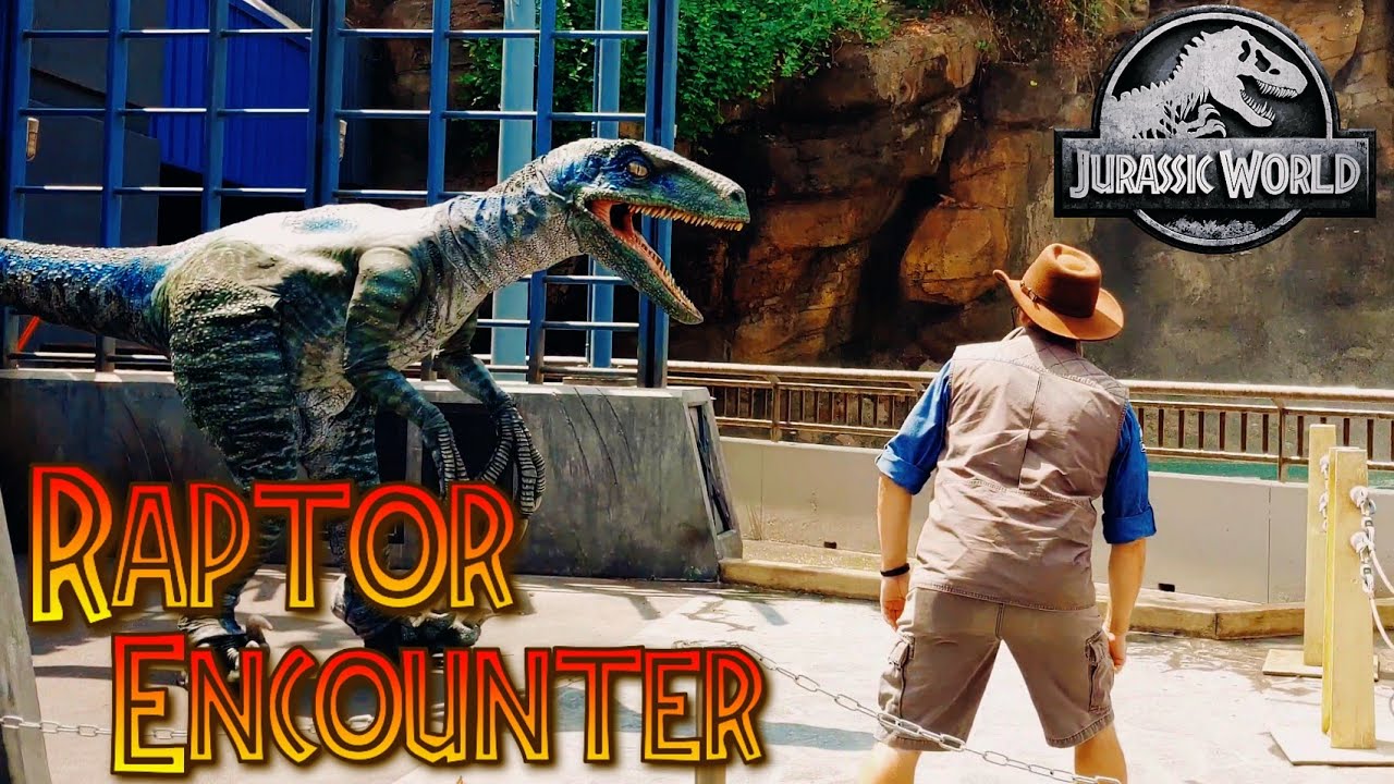 RAPTOR ENCOUNTER at Universal Studios Hollywood | Full show | 4K - YouTube
