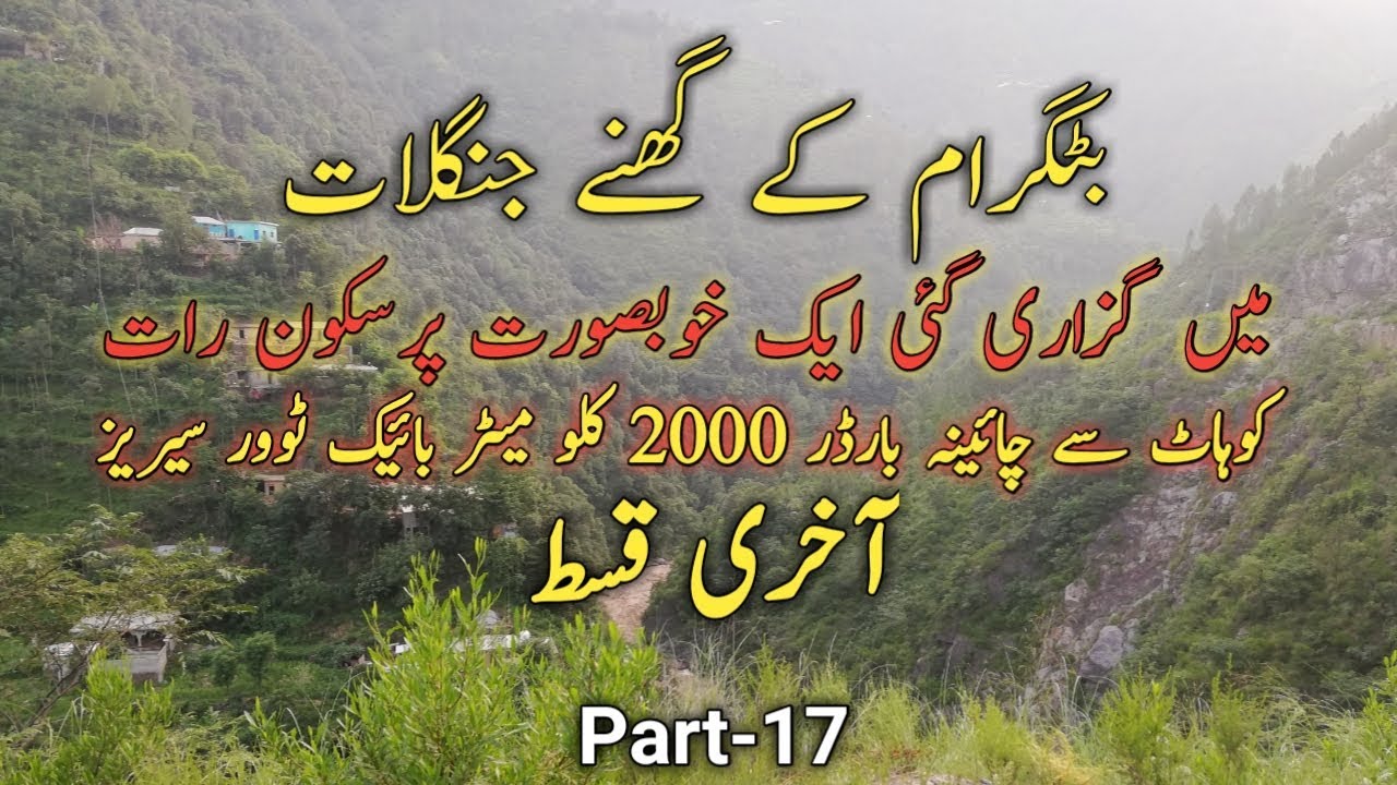 Batgram forests | Bike tour to Khunjerab pass China border part 17 ...