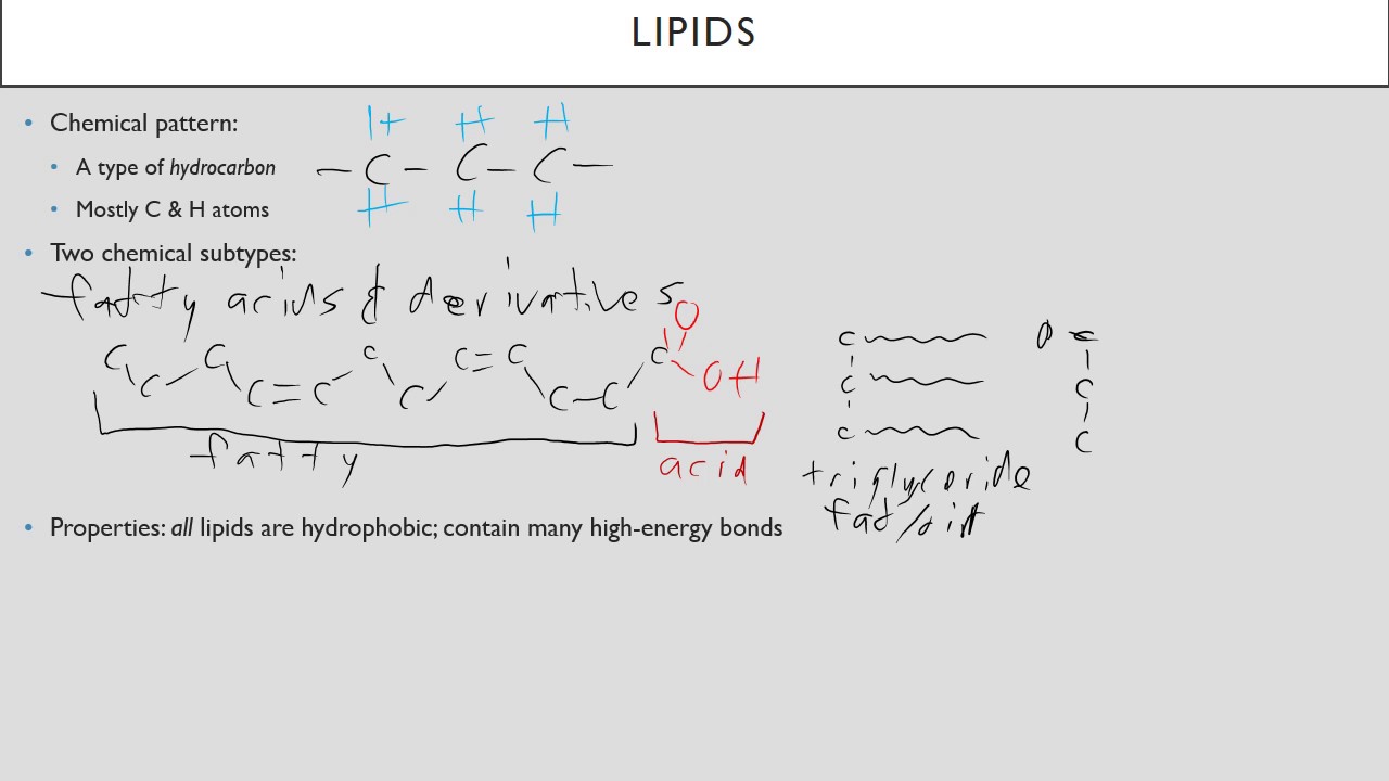Biochemistry Basics Mini-Lecture - YouTube