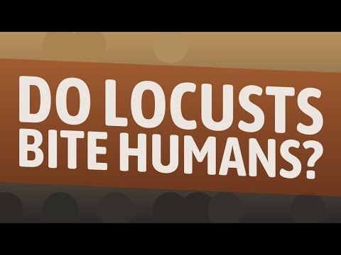 Do Locusts Bite Or Sting