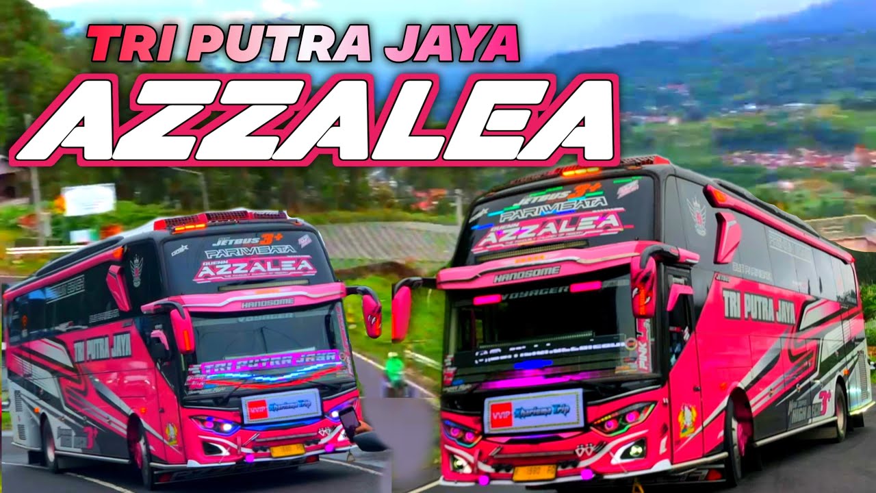 Azzalea 9 not 🥰🥰 Tri Putra Jaya AZZALEA on the way kharisma trip sarangan #teloletbasuri # ...