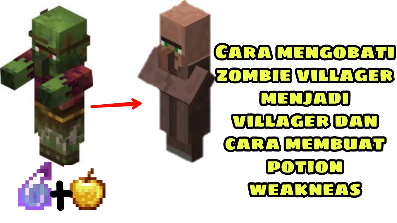Cara membuat potion weakneas dan menyembuhkan zombie villager dengan ...