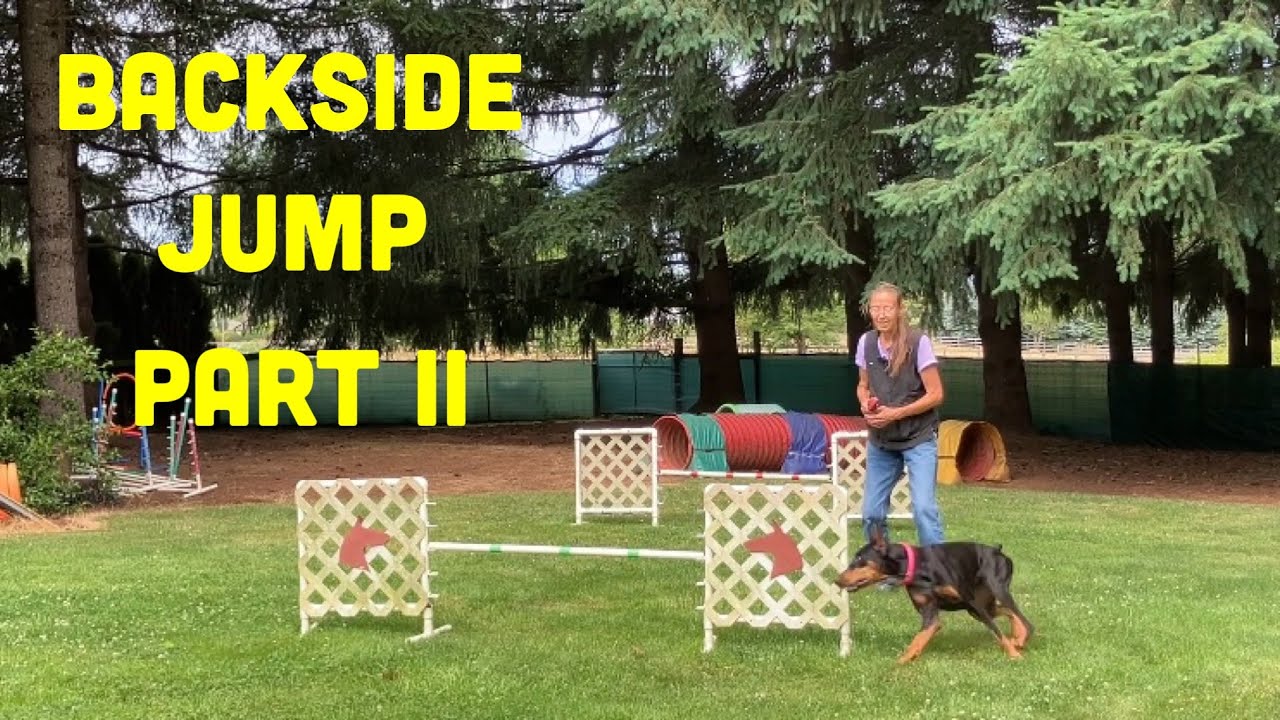 How to Train the Dog Agility Backside Jump Part 2 - YouTube