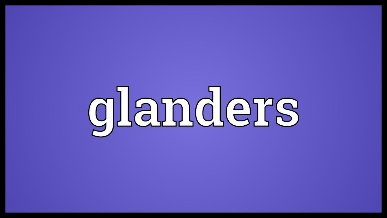 Glanders Meaning - YouTube
