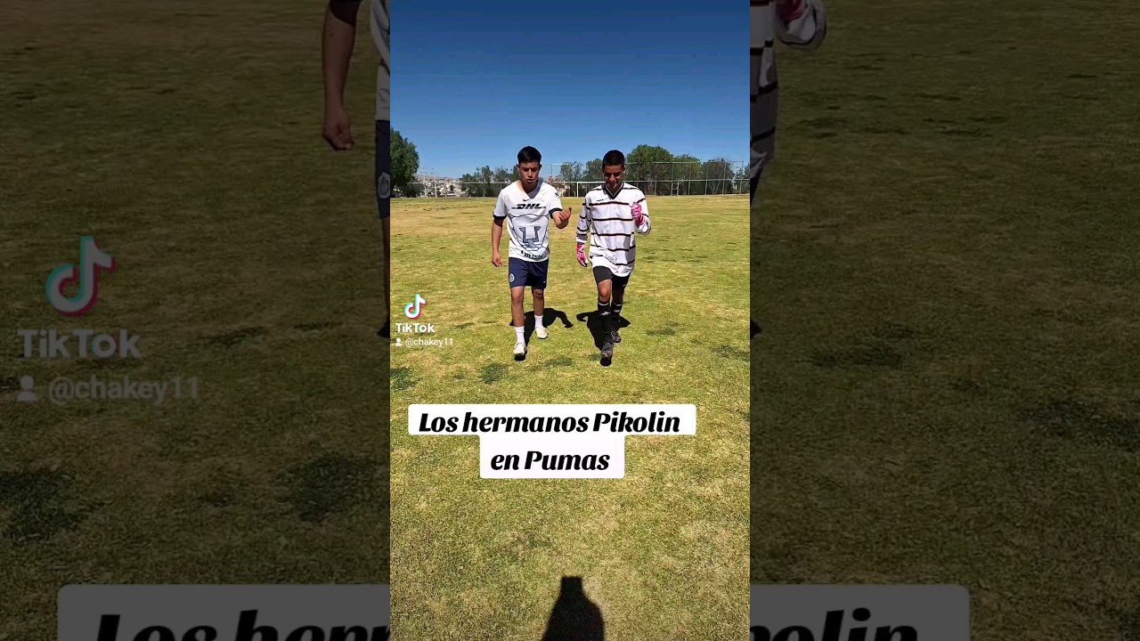 Hermanos Pikolin #comedy #humor #viral #pikolinpalacios #hermanos # ...