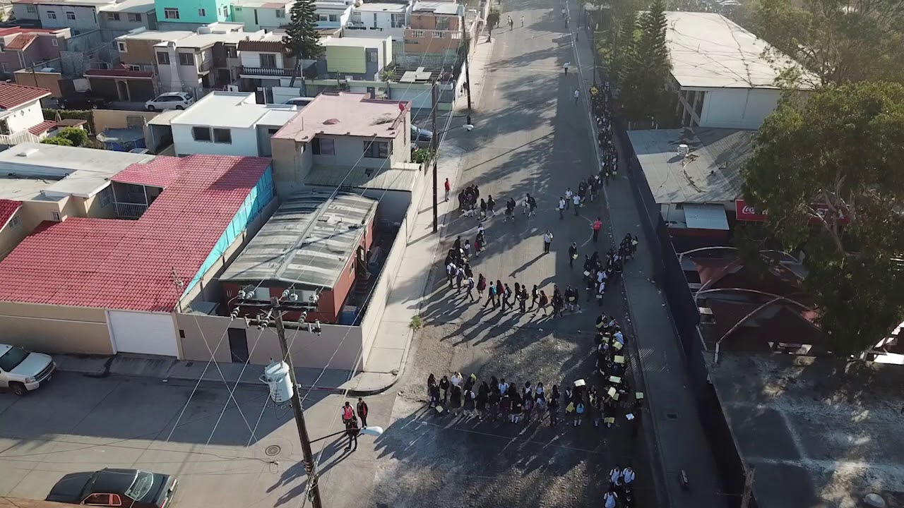 CBTIS 146 ORGULLOSAMENTE MOSAICO - YouTube