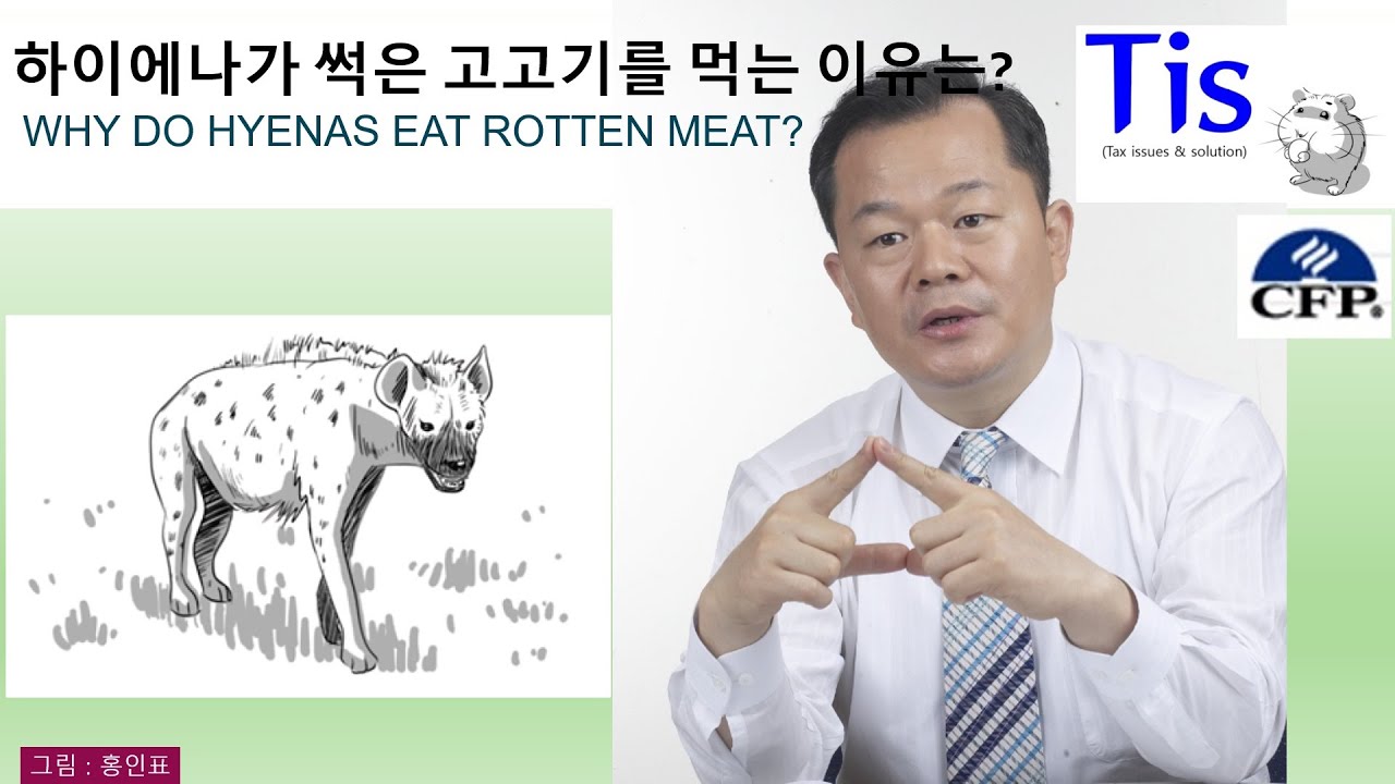 동물과 자연이야기(Animal & Nature Stories),하이에나가 썩은고기를 먹는 이유는?WHY DO HYENAS EAT ...