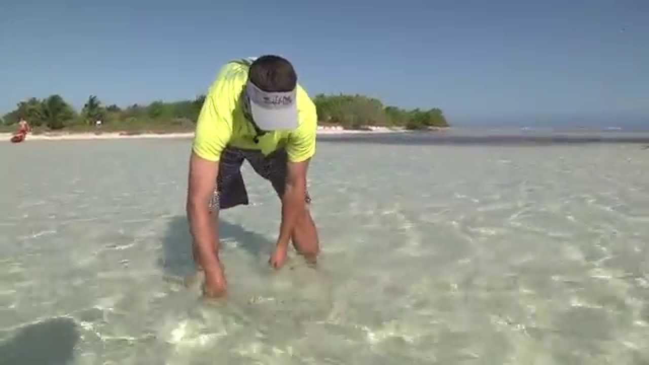 island hopping part 1 teaser - YouTube