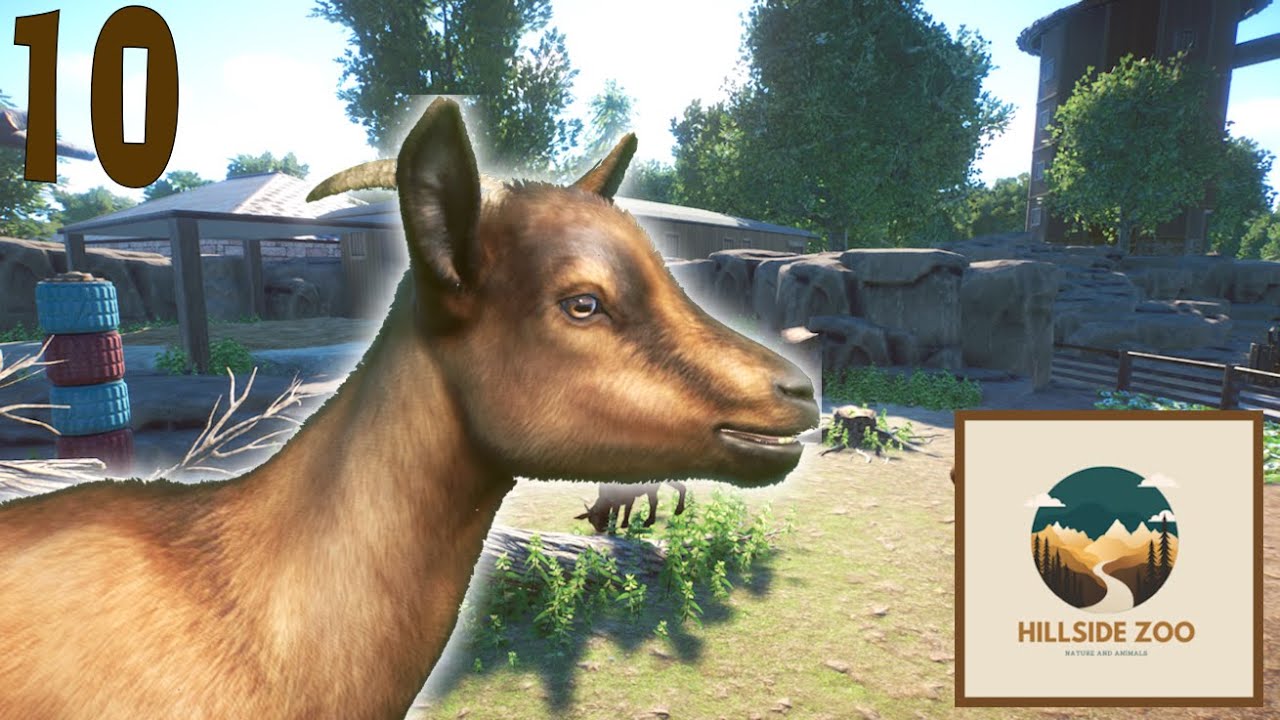 Alpine Goats are cute - HILLSIDE ZOO 10 - Planet Zoo - YouTube