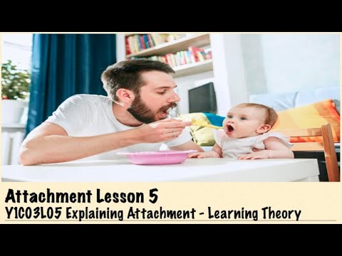 A Level Psychology Learning Theory Of Attachment Evaluation