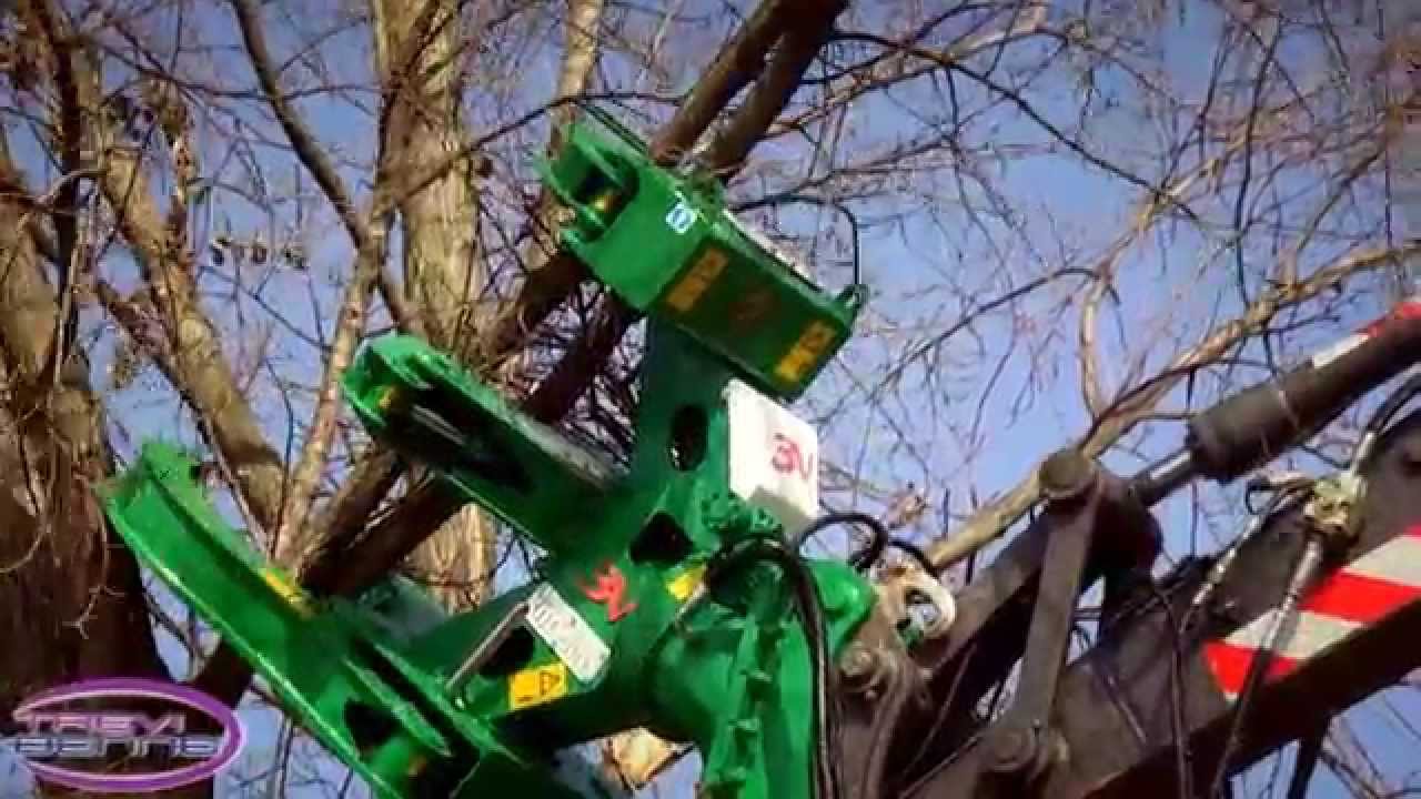 Trevi Benne Tree Shear WT010 - YouTube