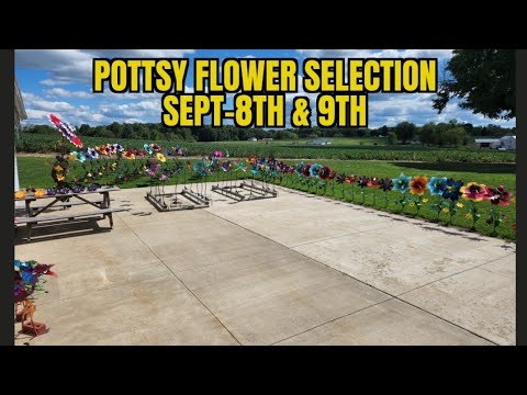 Pottsy Flower Selection Sept-8th & 9th - YouTube