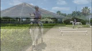 Capt Brian Cournane | Glenbeigh Farm | Wellington, FL