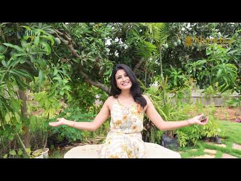 Shantika by Sannidhi Walkthrough | Bali-Inspired Villa Plots in Malur, Off Hoskote Road | Houzbay