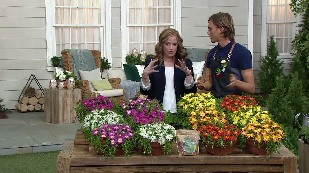 Roberta's 6-Piece Rock Crystal Hardy Ice Plants on QVC - YouTube