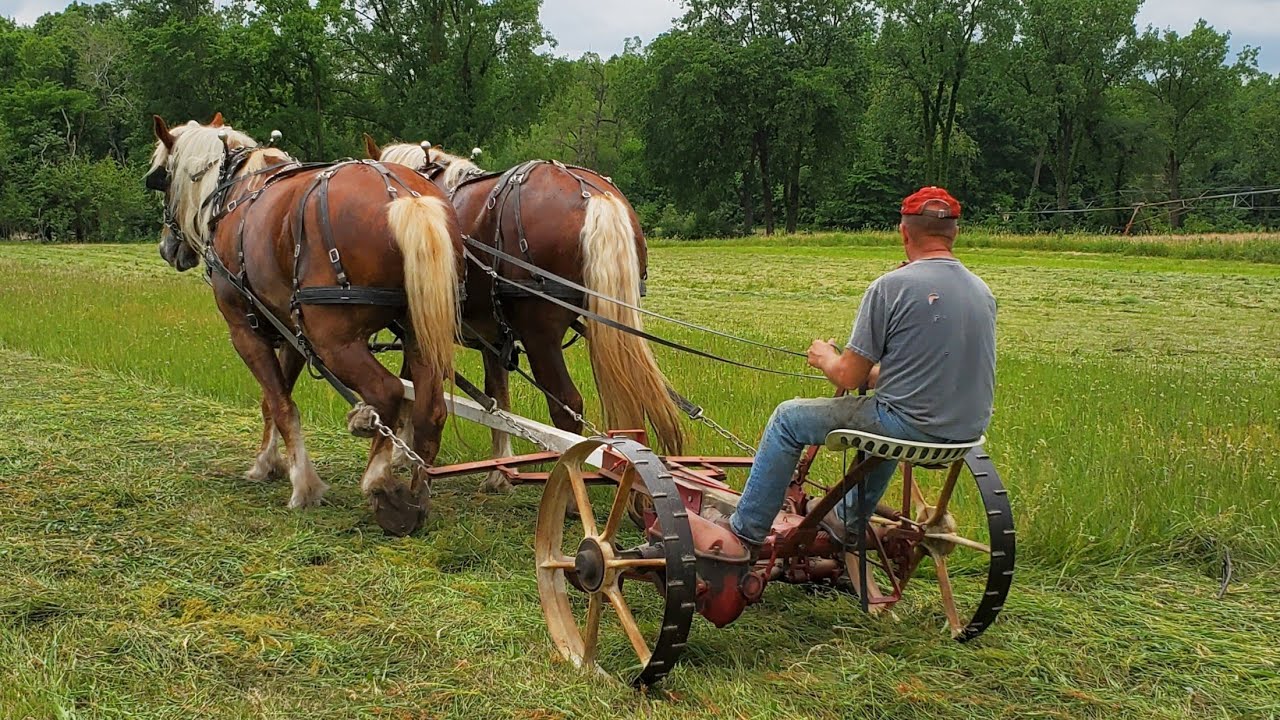 Down on the Farm - Mowing Hay with Bill & Bob - YouTube