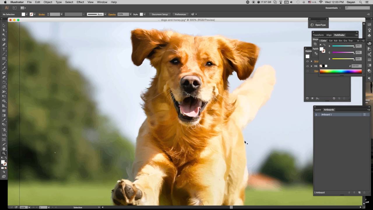 Convert an JPG image into vector | JPG to vector - YouTube