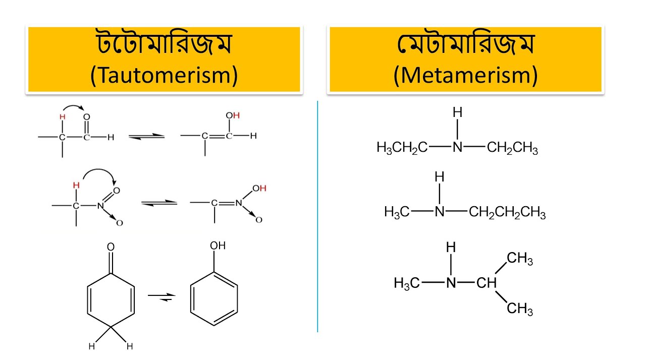 Tautomerism (টটোমারিজম ) & Metamerism (মেটামারিজম) - YouTube