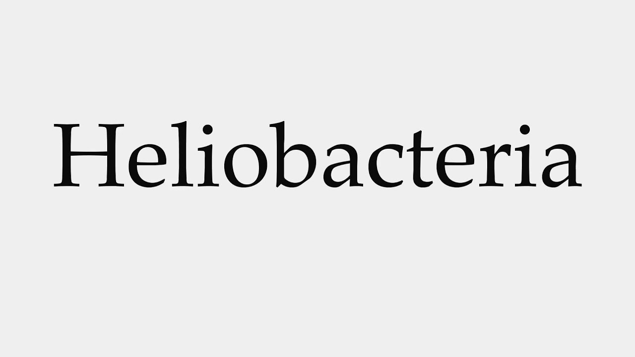 Heliobacteria