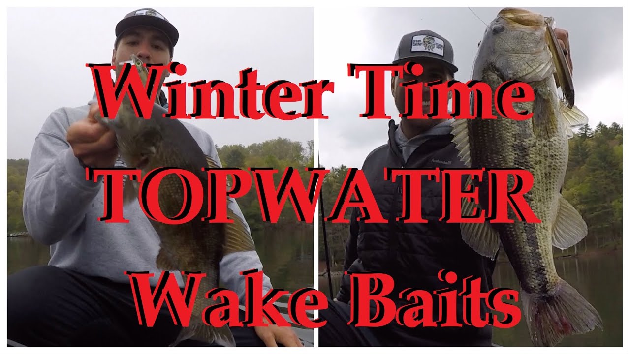 Wake Baits! Big Bass on TOPWATER Year Round! - YouTube